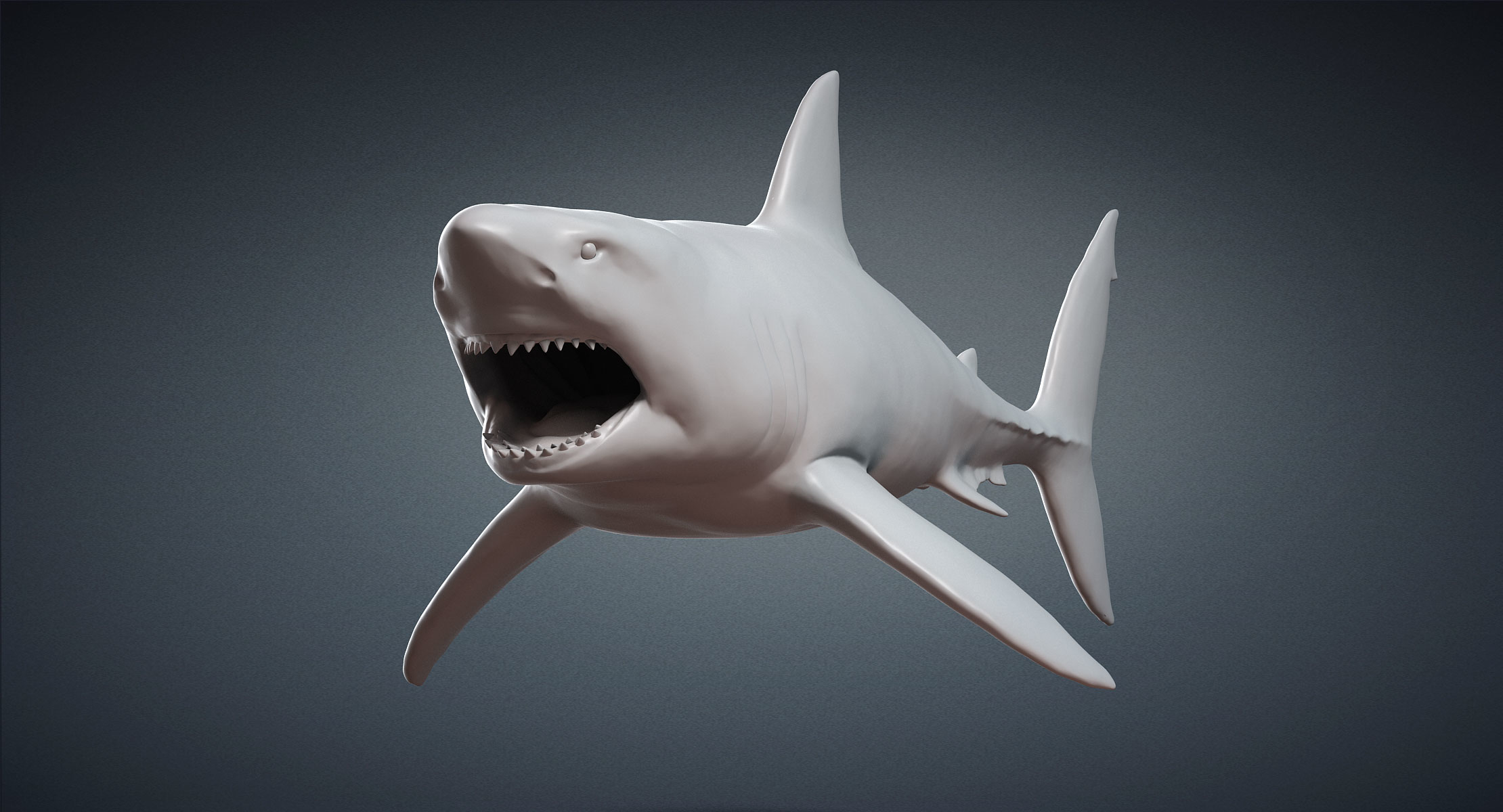 3D great white shark base mesh model - TurboSquid 1232562