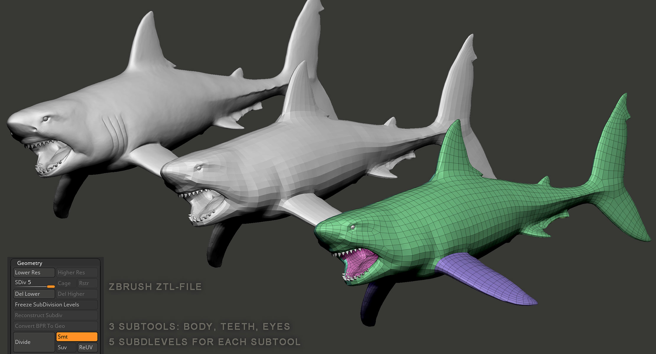 3D great white shark base mesh model - TurboSquid 1232562
