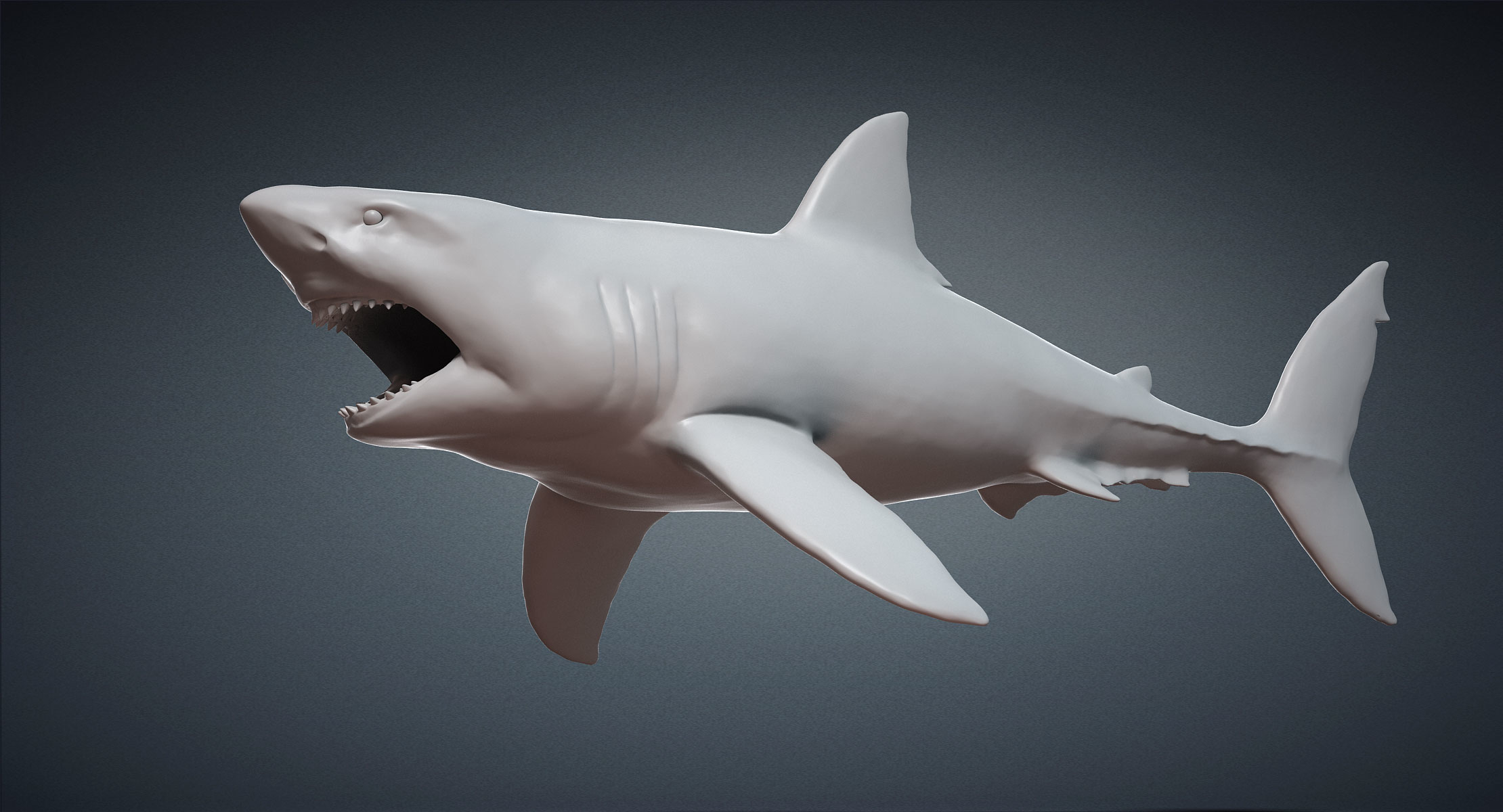 3D great white shark base mesh model - TurboSquid 1232562