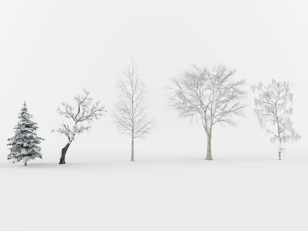 Snow Tree 3D Models for Download | TurboSquid