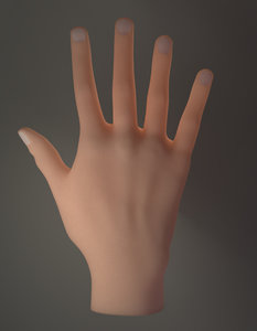 Free 3D Hand-Blender Models | TurboSquid