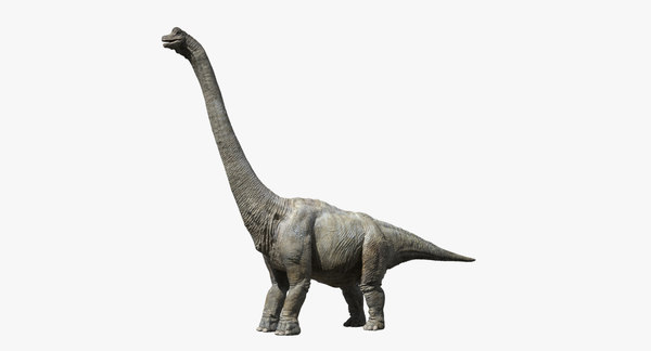 3D brachiosaurus v-ray rigged - TurboSquid 1233093