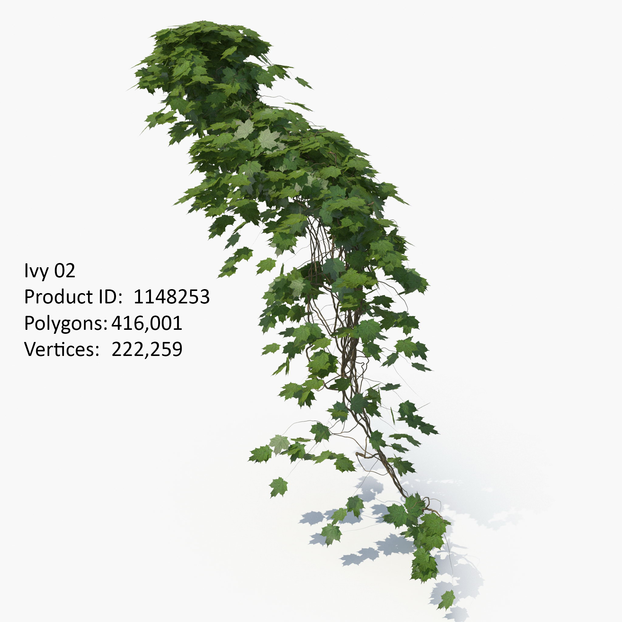 Realistic ivy 3D - TurboSquid 1233567