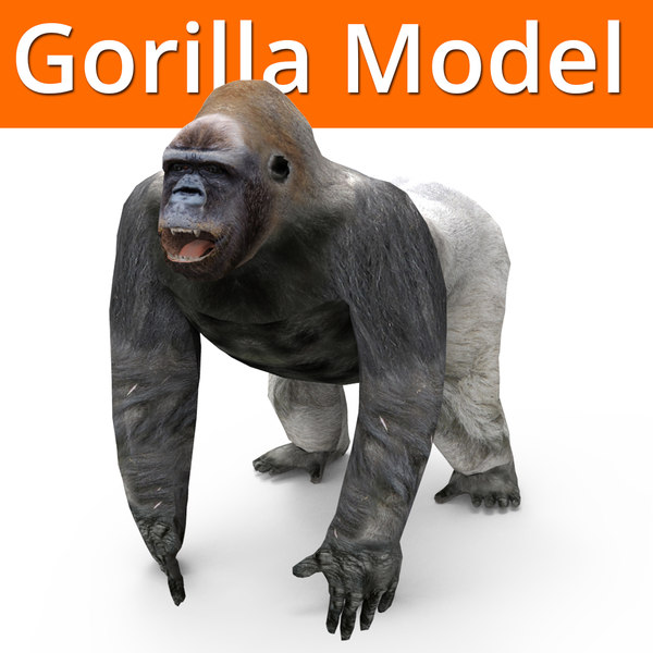 Gorilla Blender Models for Download | TurboSquid
