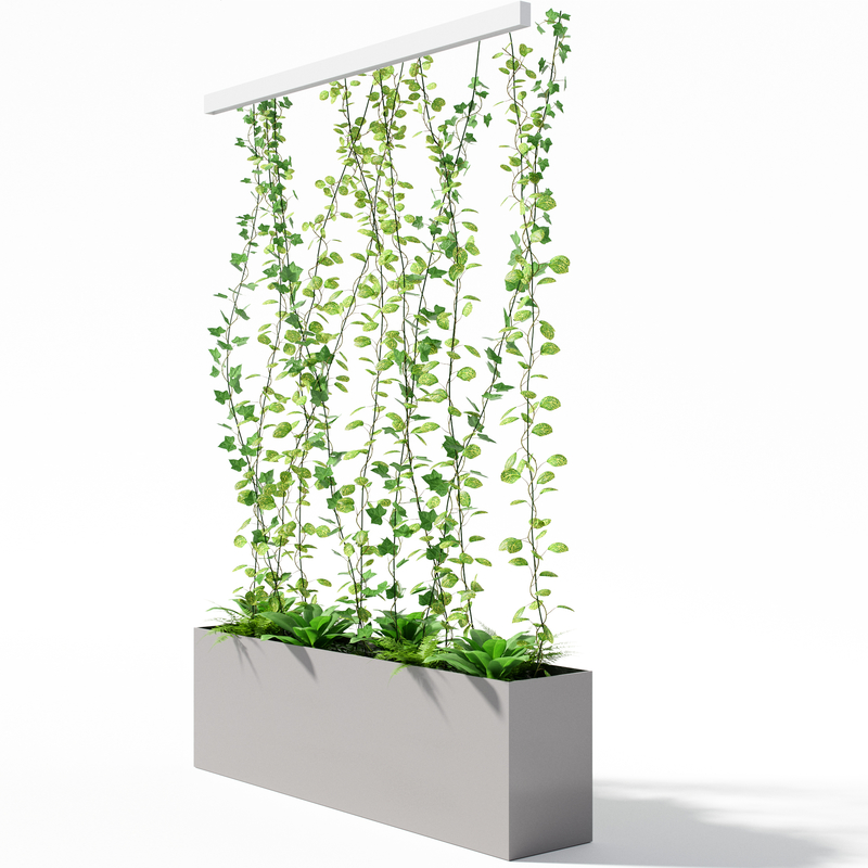 3D partition plant - TurboSquid 1234718