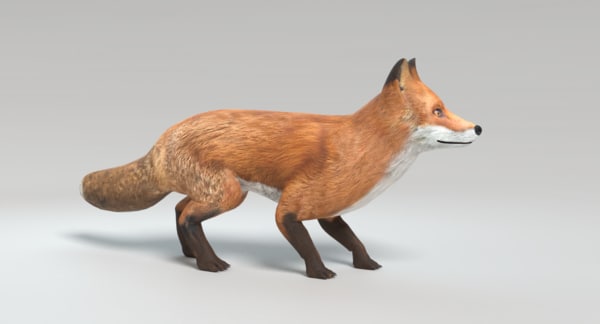 3D model fox animations - TurboSquid 1234999