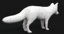 3D model fox animations - TurboSquid 1234999