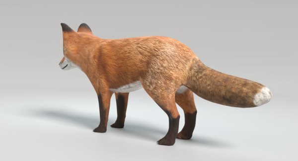 3D model fox animations - TurboSquid 1234999