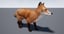 3D model fox animations - TurboSquid 1234999