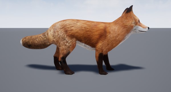 3D model fox animations - TurboSquid 1234999