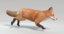 3D model fox animations - TurboSquid 1234999