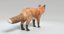 3D model fox animations - TurboSquid 1234999