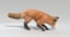 3D model fox animations - TurboSquid 1234999