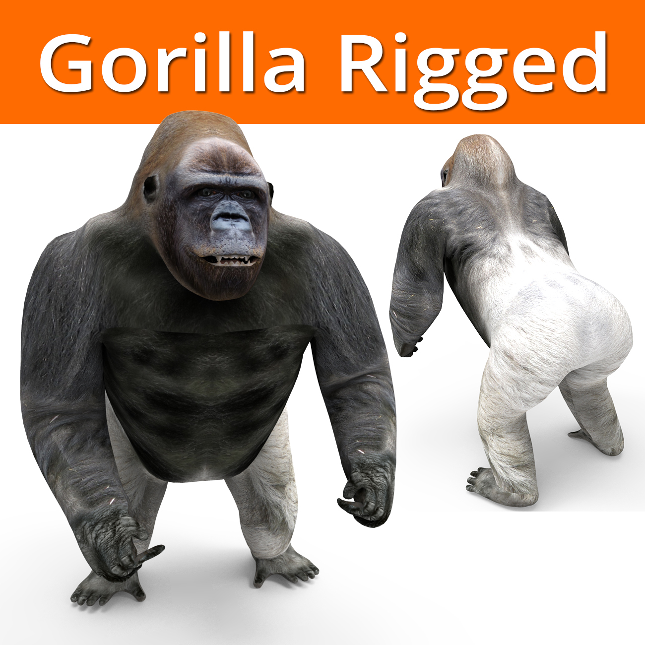 Gorilla Rigged 3d Turbosquid 1235405