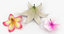 3D flowers 5 - TurboSquid 1235539