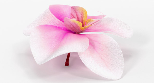 3D flowers 5 - TurboSquid 1235539