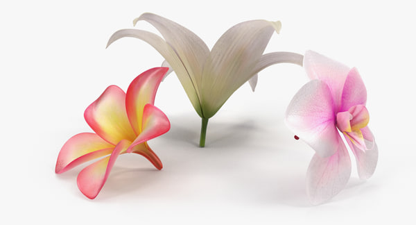 3D flowers 5 - TurboSquid 1235539