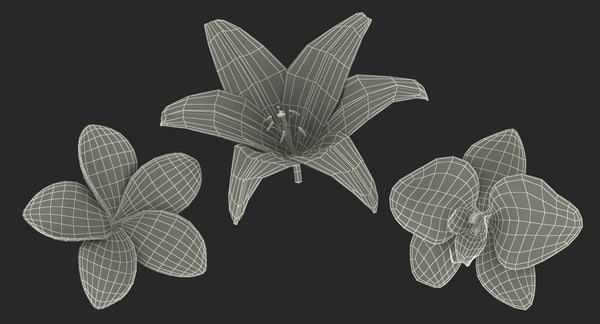 3D flowers 5 - TurboSquid 1235539