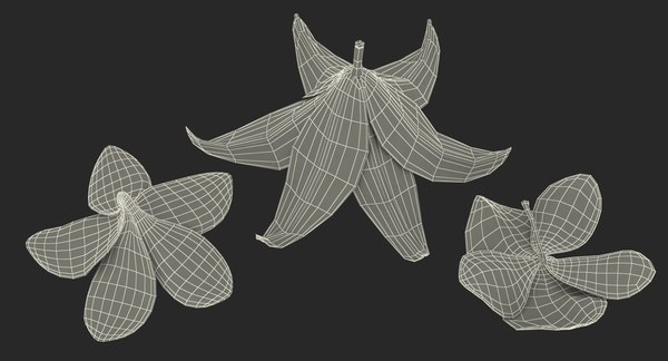 3D flowers 5 - TurboSquid 1235539