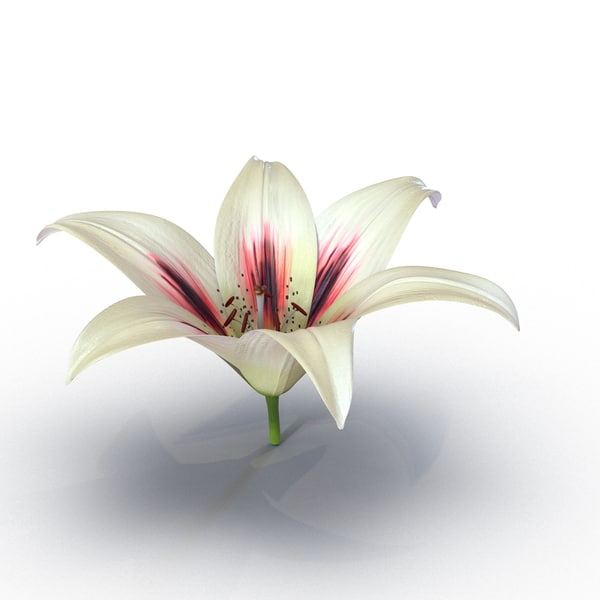 3D flowers 5 - TurboSquid 1235539