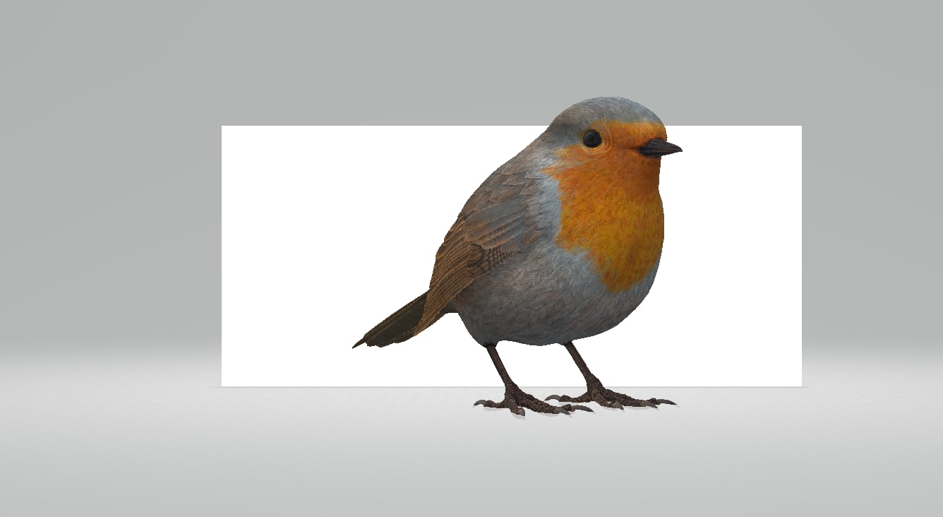 3D model robin - TurboSquid 1236180