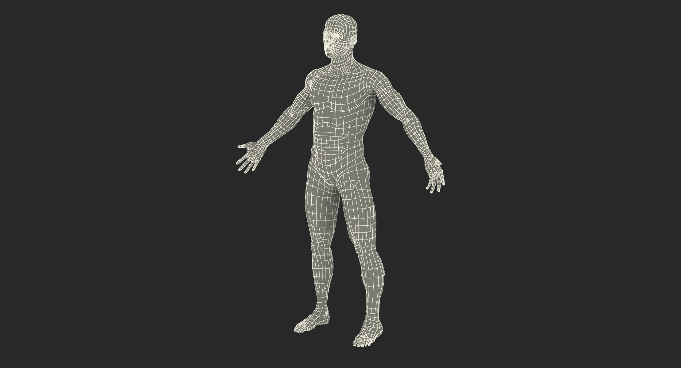 modelo 3d Anatomía del sistema muscular masculino - TurboSquid 1236282
