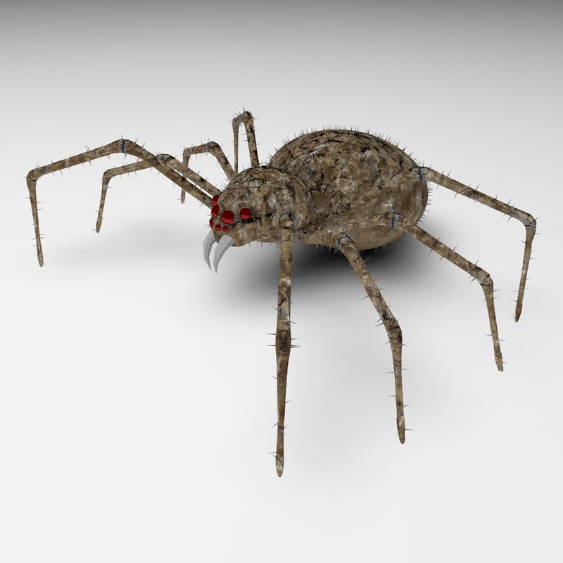 3D spider skeleton model - TurboSquid 1236535