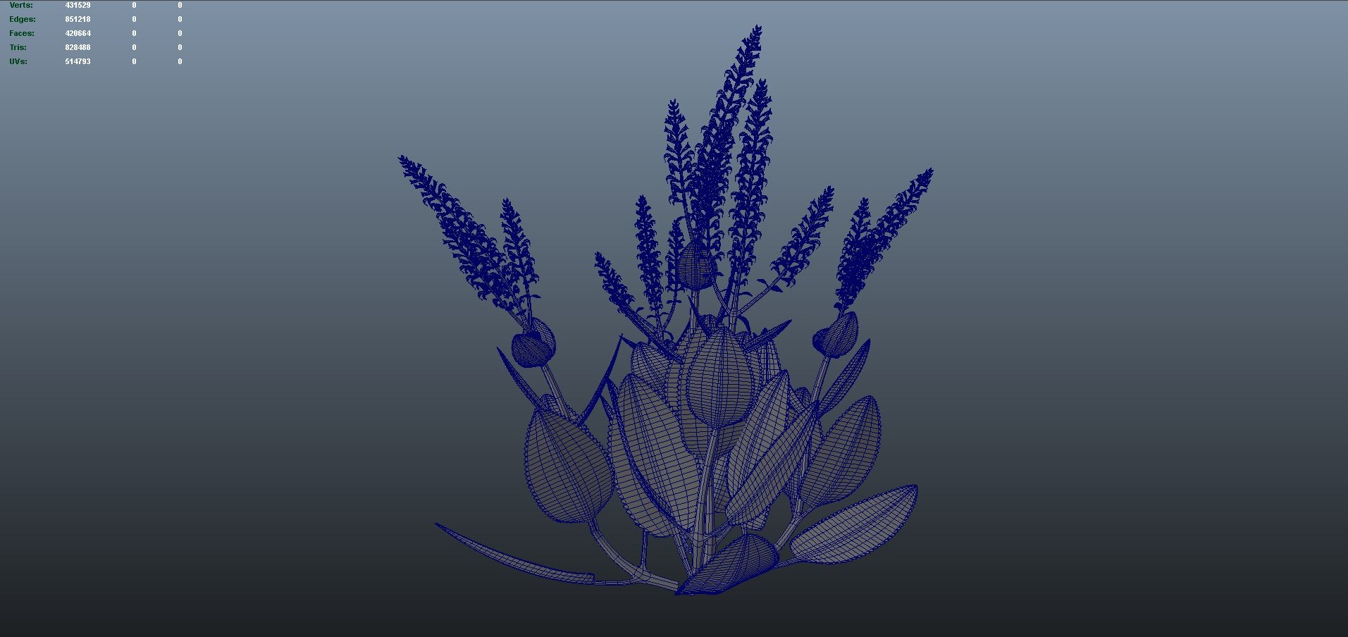 3D salvia plants model - TurboSquid 1236728