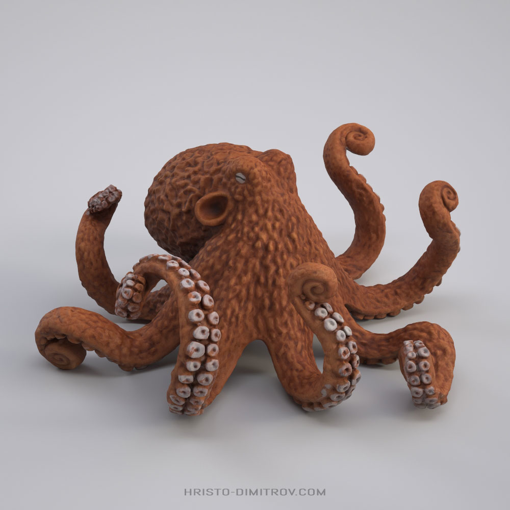 Scanned octopus 3D - TurboSquid 1236800