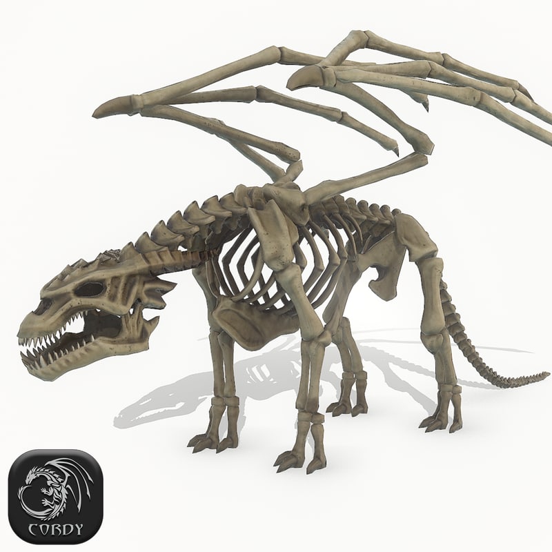 Skeleton dragon model - TurboSquid 1237172