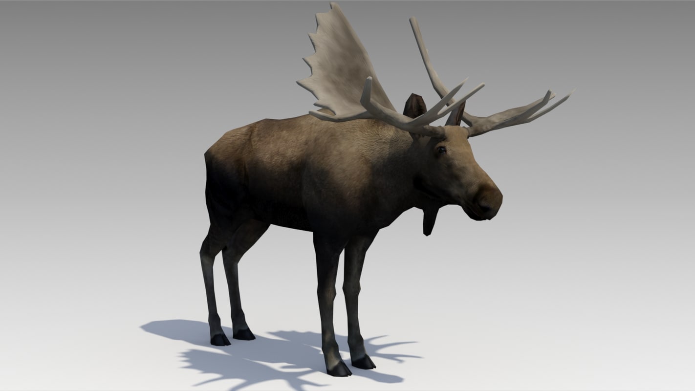 3D moose - TurboSquid 1237688