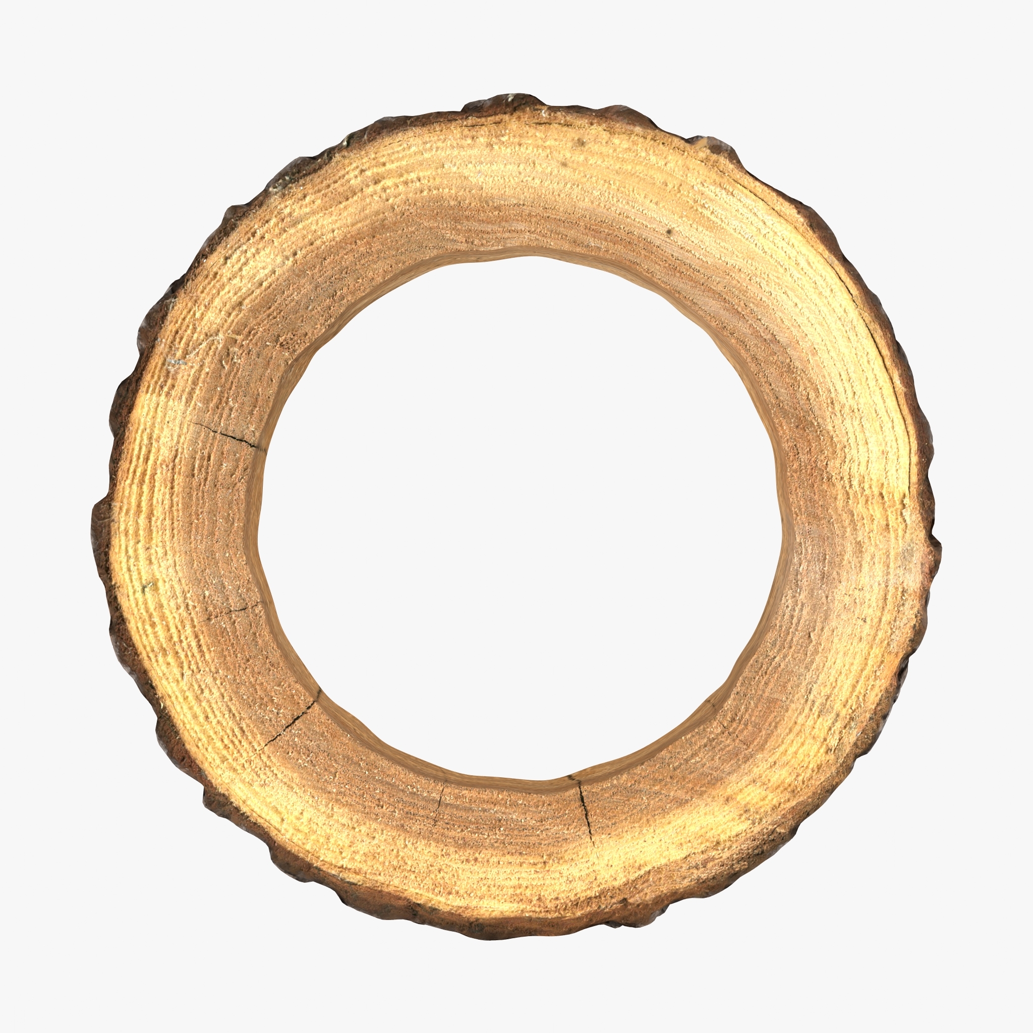 Wood log ring 3D - TurboSquid 1237780