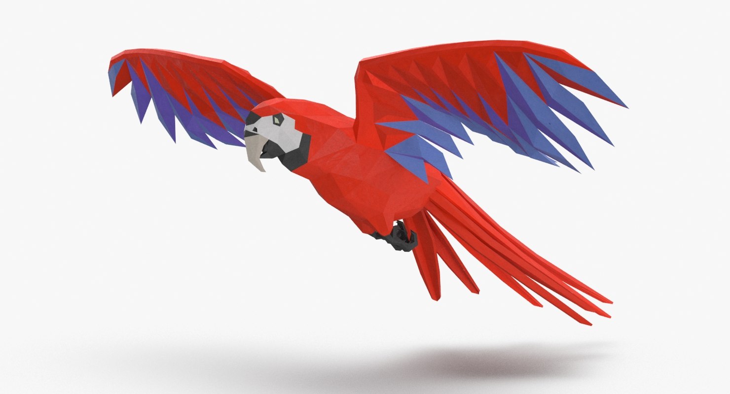 Parrot----red-flying 3D - TurboSquid 1237847