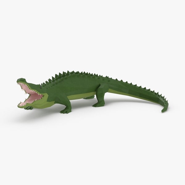3D Alligator Models | TurboSquid