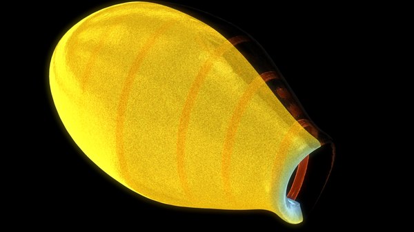 Doliolum genus tunicates model - TurboSquid 1238122
