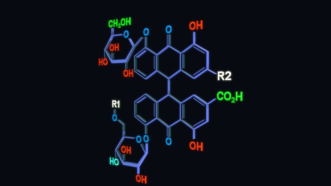 modelo 3d Estructura de mucílago - TurboSquid 1238402