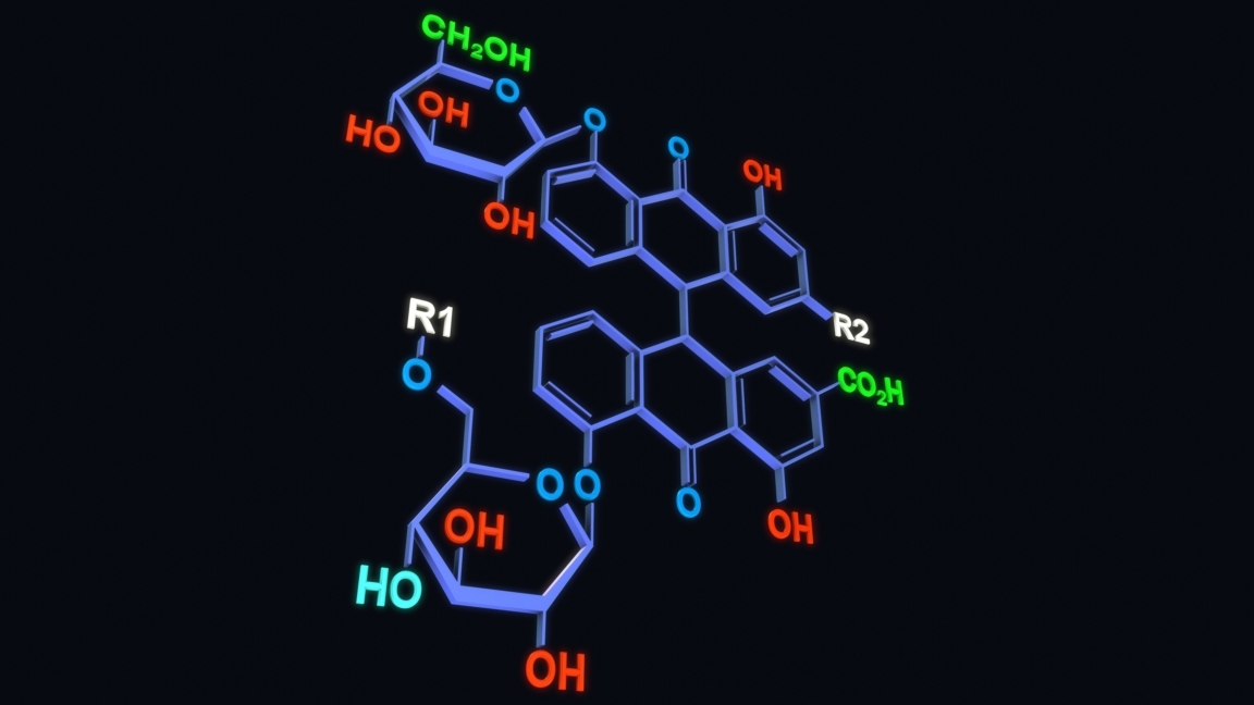 modèle 3D de Structure de mucilage - TurboSquid 1238402