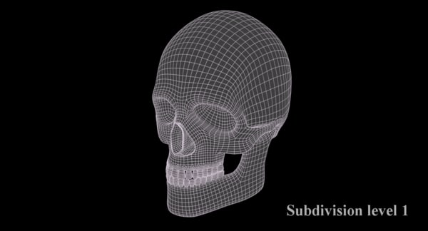 Skull asset unity 3D model - TurboSquid 1238853