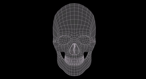 Skull asset unity 3D model - TurboSquid 1238853