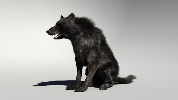 3D model timber wolf hair fur - TurboSquid 1239802