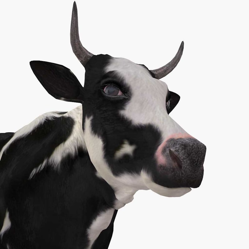Cow 3D - TurboSquid 1240232