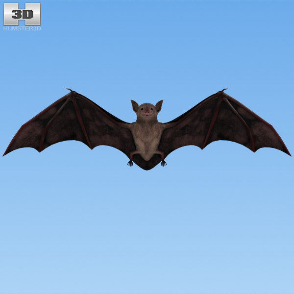 3D model common bat - TurboSquid 1241091