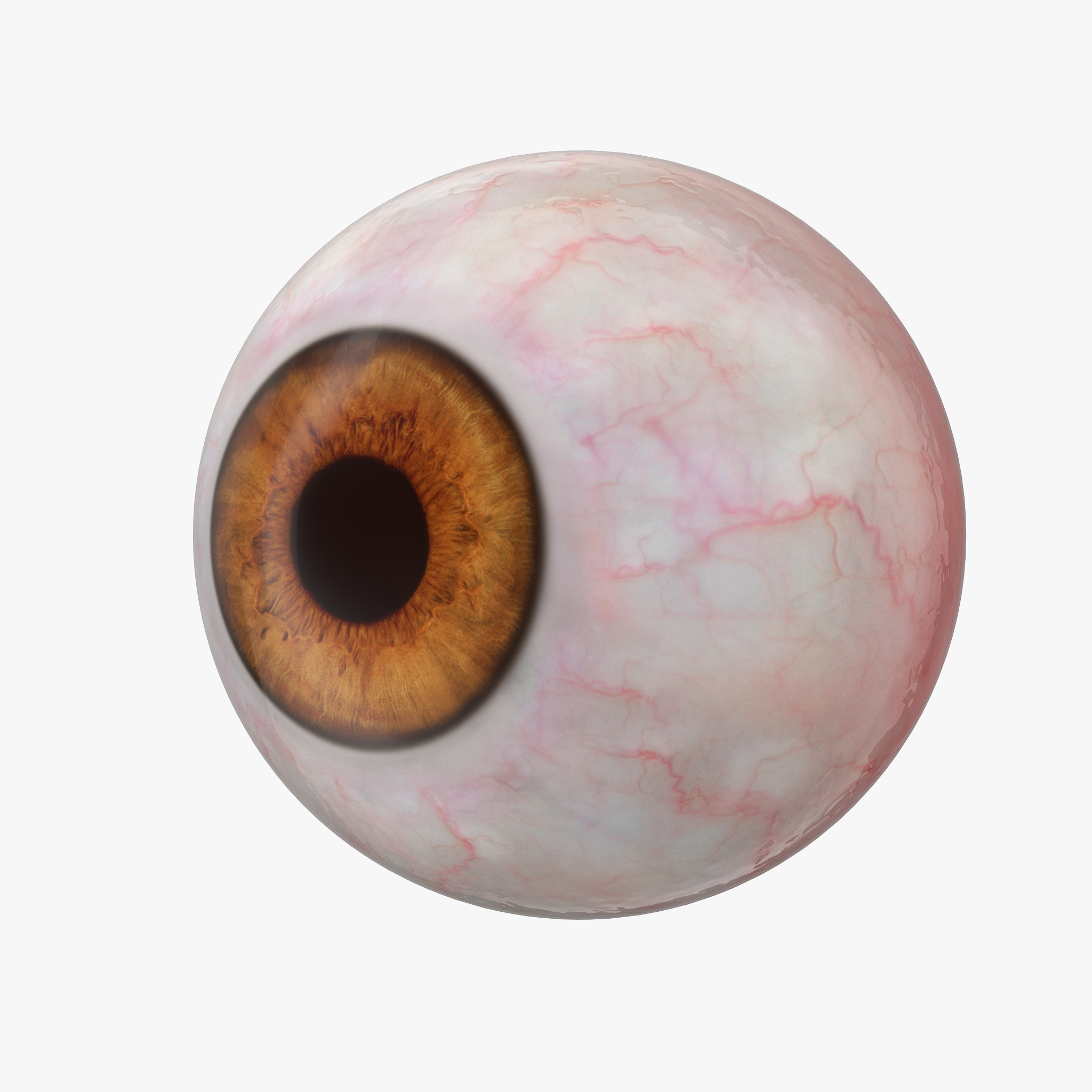 Human eyeball 3D model - TurboSquid 1241327