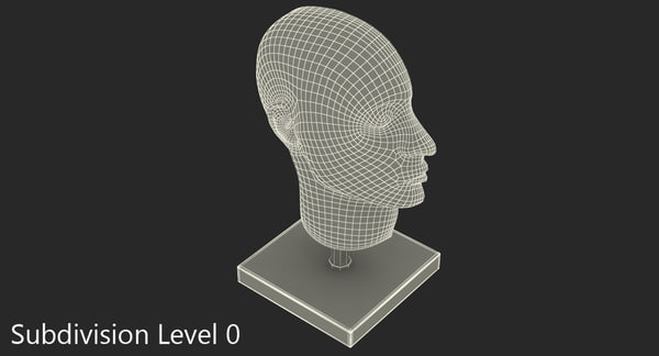 3D section human head anatomy - TurboSquid 1241365