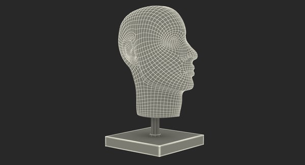 3D section human head anatomy - TurboSquid 1241365