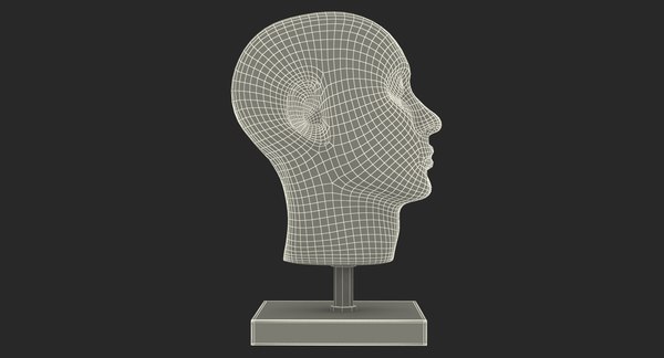 3D section human head anatomy - TurboSquid 1241365