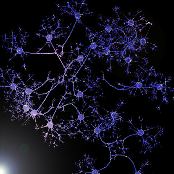 3D neurons model - TurboSquid 1241746