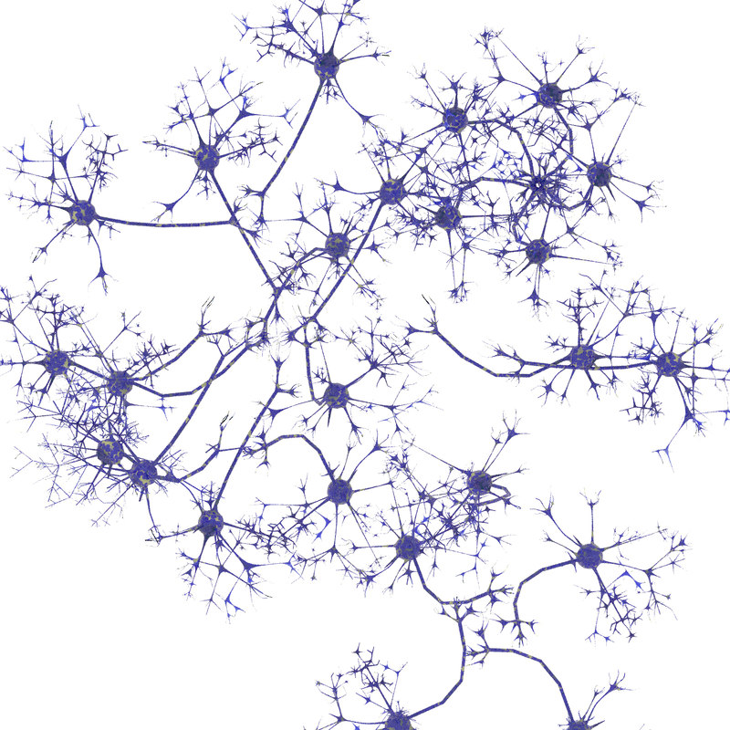 3D neurons model - TurboSquid 1241746