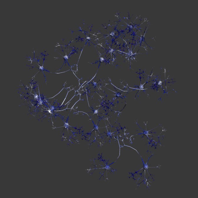 3D model neural network - TurboSquid 1241761