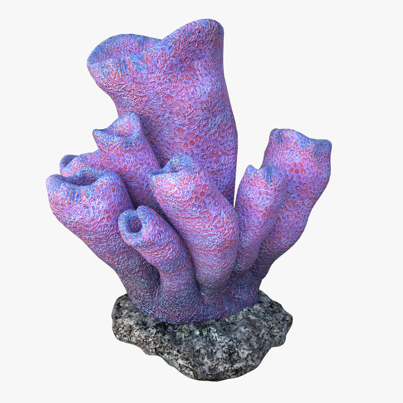 3D coral tube v2 model - TurboSquid 1241897